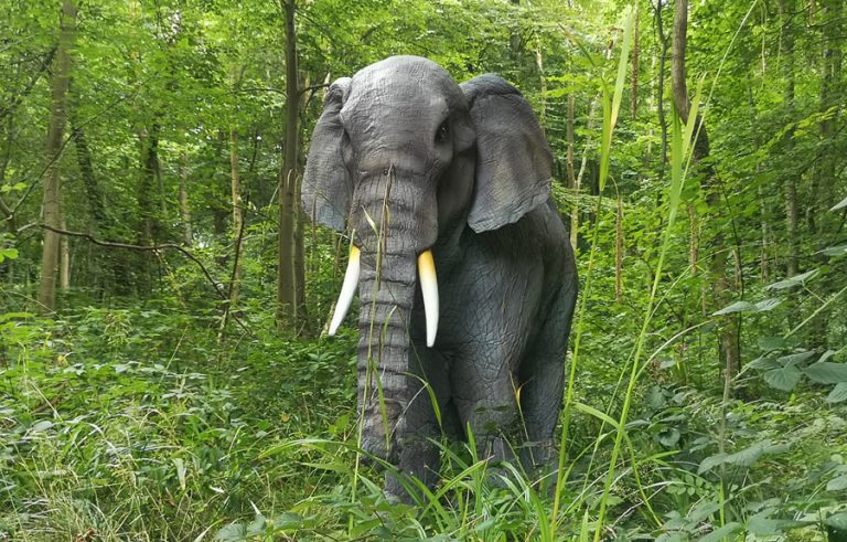 Animatronic Elephant - Roaming acts, fire shows, stilt walkers & circus ...