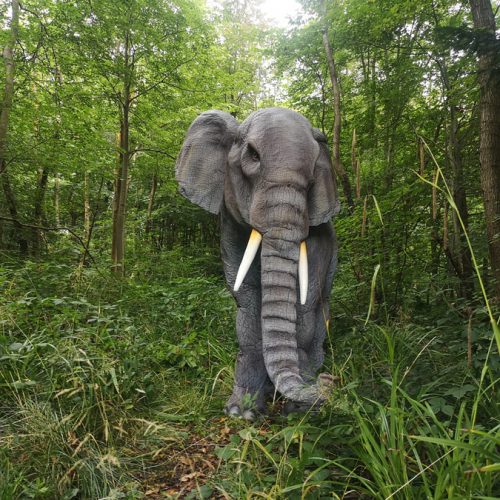 Valerian Entertainment | Event Entertainment Hire | Event Agency UK